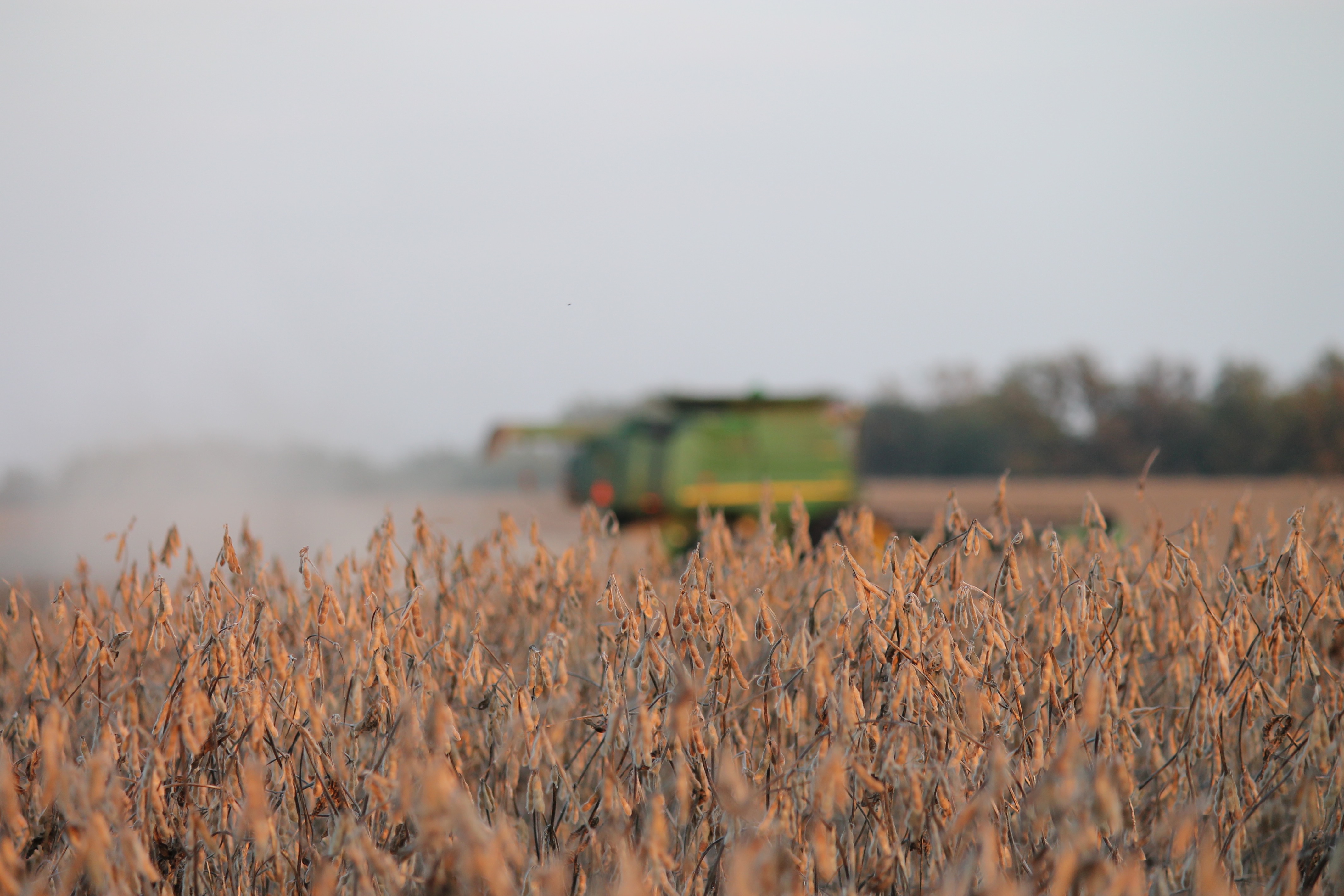 Edmondson Liberty Farms – Edmondson Liberty Farms is a seventh ...